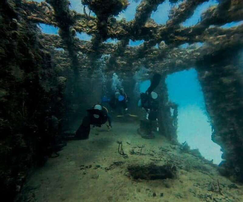 Puerto Morelos: C-56 Shipwreck & Reef for Certified Divers - An In-Depth Look at the Tour