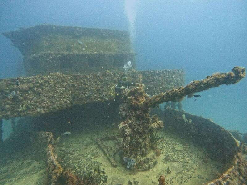 Puerto Morelos: C-56 Shipwreck & Reef for Certified Divers - The Sum Up