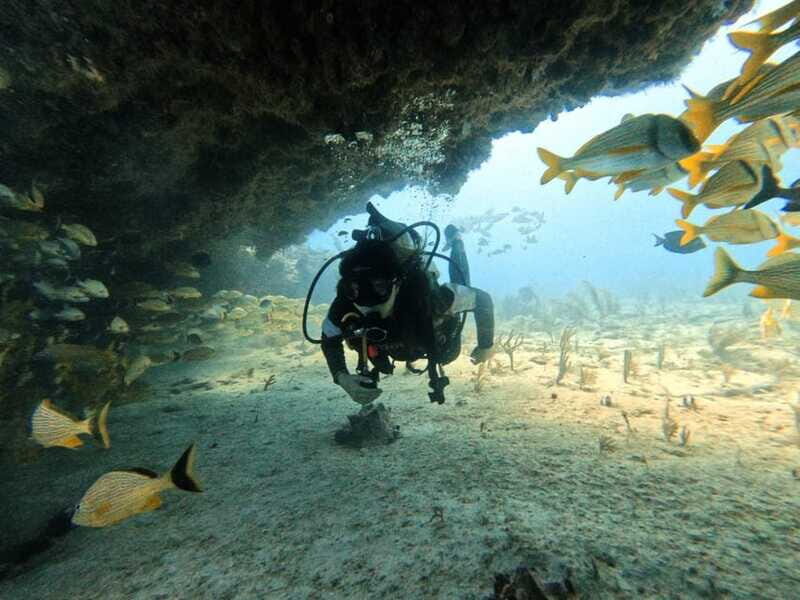 Puerto Morelos: C-56 Shipwreck & Reef for Certified Divers - FAQs