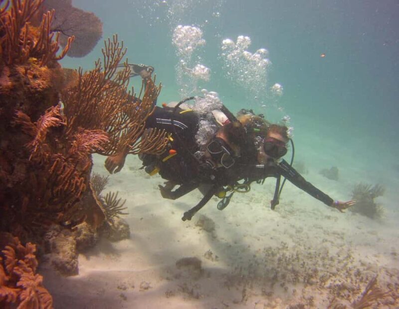 Puerto Morelos: Diving at Puerto Morelos Reef - Frequently Asked Questions