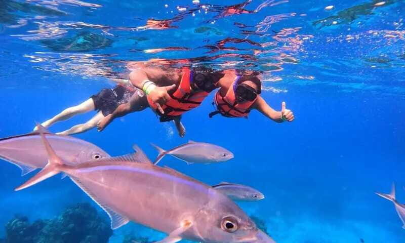 Puerto Morelos: Guided Snorkeling Tour with Gear & Fees - Frequently Asked Questions