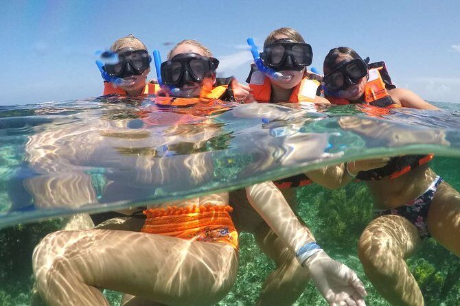 Puerto Morelos Half-Day Snorkel Tour - An In-Depth Look at the Puerto Morelos Snorkel Tour