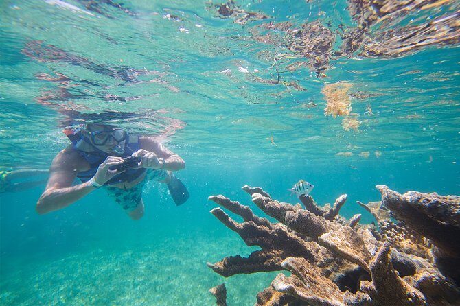 Puerto Morelos Half-Day Snorkel Tour - Final Thoughts