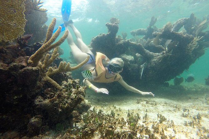 Puerto Morelos Half-Day Snorkel Tour - Final Summary