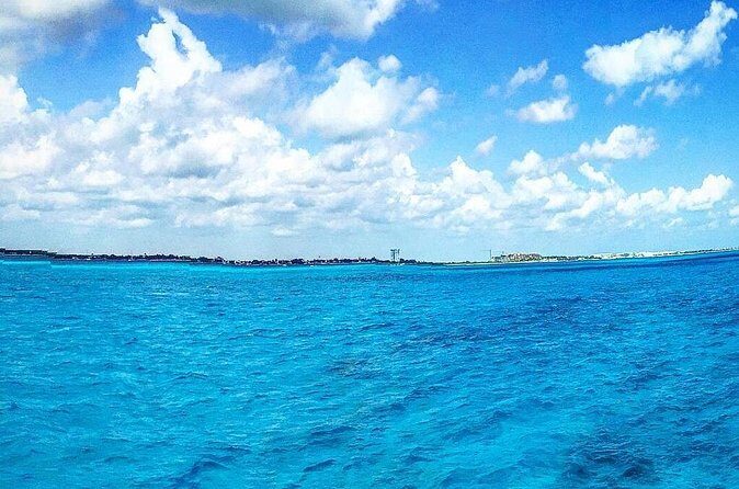 Puerto Morelos Reef Snorkel, 2 stops , local tacos, small groups! - The Sum Up