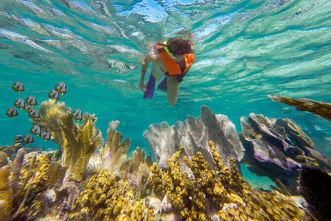 Puerto Morelos Reef Snorkeling & Beachside Lunch - Key Points for the Snorkeling & Beachside Lunch Tour