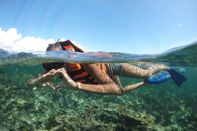 Puerto Morelos Reef Snorkeling Tour with Lunch - An In-Depth Look at the Tour