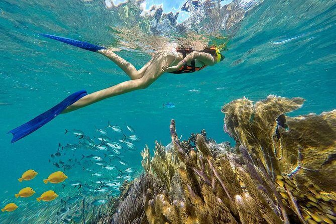 Puerto Morelos Reef Snorkeling Tour with Lunch & Hotel Pickup - Starting Off: What to Expect On the Day