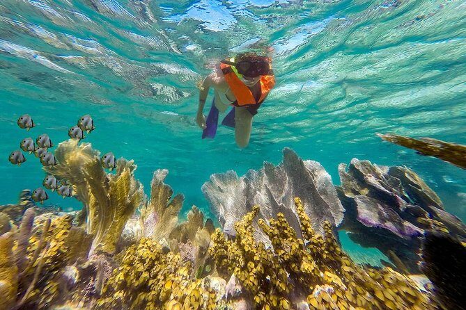 Puerto Morelos Reef Snorkeling Tour with Lunch & Hotel Pickup - Transportation and Timing: How It All Adds Up