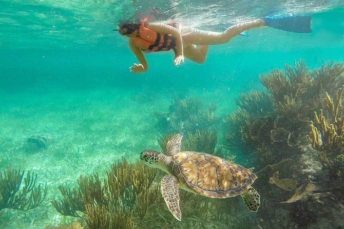 Puerto Morelos Reef Snorkeling Tour with Lunch & Hotel Pickup - The Bottom Line