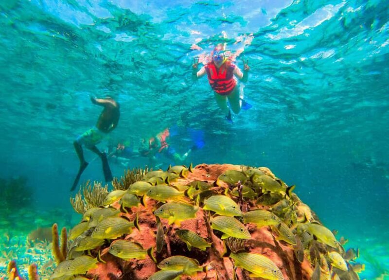 Puerto Morelos: Reef Snorkeling Trip with Beachside Lunch - Final Thoughts: Is It Worth It?