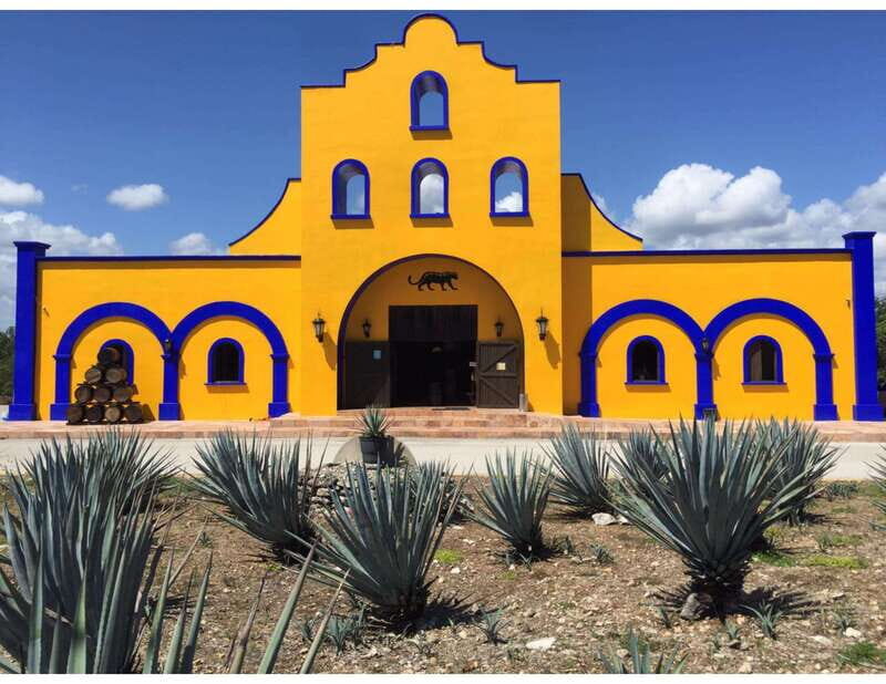 Puerto Morelos: Shopping Tour & Cenote Kin Ha - Introduction: An Authentic Taste of Puerto Morelos