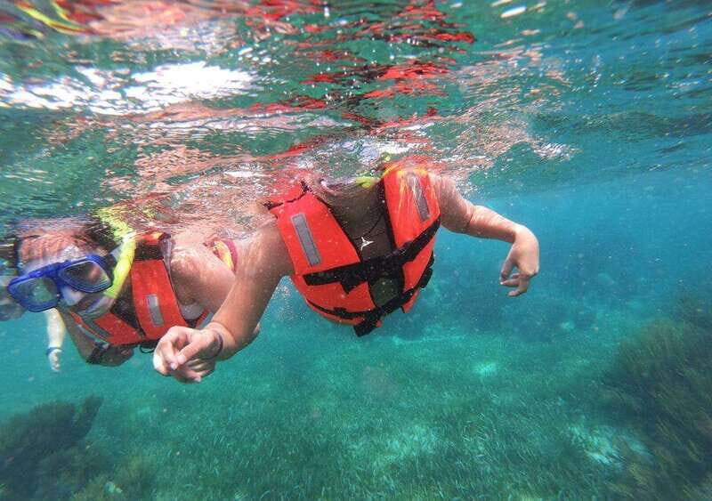 Puerto Morelos: Snorkel in Coral Reef with transportation - Assessing the Value