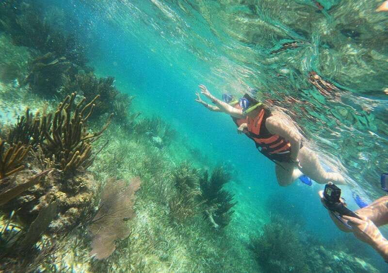 Puerto Morelos: Snorkel in Coral Reef with transportation - FAQs