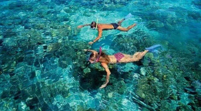 Puerto Morelos: Snorkeling at The National Reef Park - Who is This Tour For?