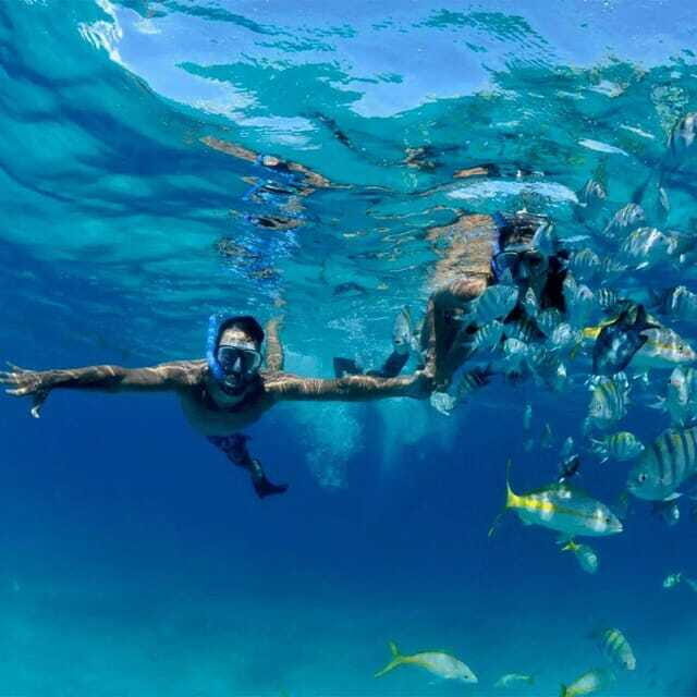 Puerto Morelos: Snorkeling at The National Reef Park - FAQ