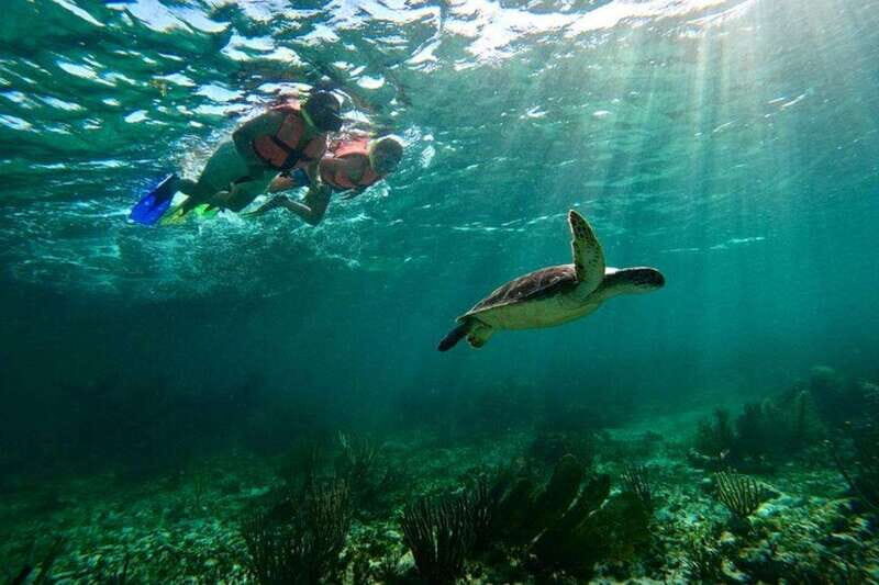 Puerto Morelos: Snorkeling Guided Activity - An In-Depth Look at the Experience