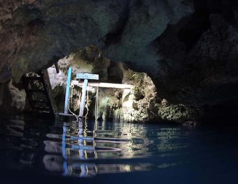Puerto Morelos: Snorkeling In Cenotes - Activities You Can Expect