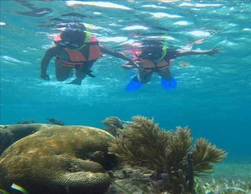 Puerto Morelos: Snorkeling Tour - Who Is This Tour Best For?