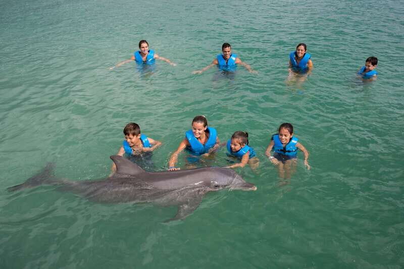 Puerto Morelos: Swim with dolphins Primax - What Is the Experience Like?