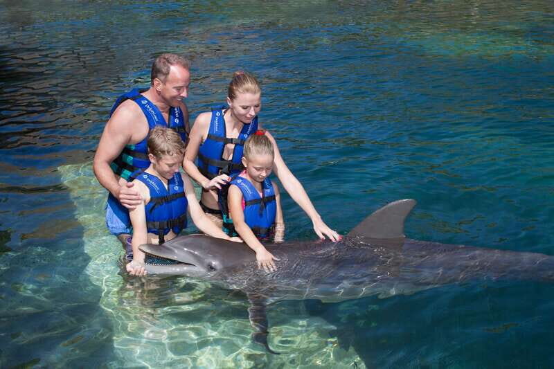 Puerto Morelos: Swim with dolphins Primax - The Value of This Experience