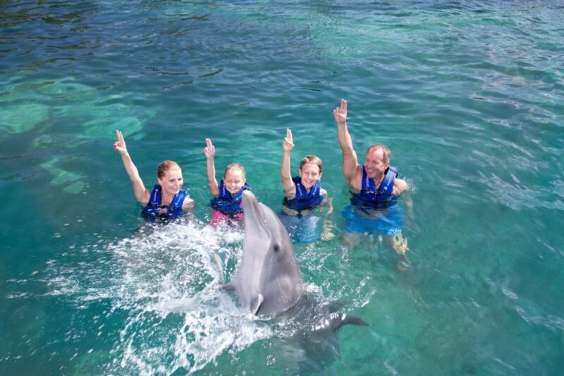 Puerto Morelos: Swim with dolphins Primax - Final Thoughts