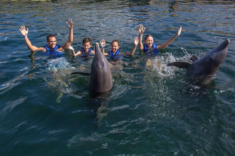 Puerto Morelos: Swim with Dolphins - An Honest Look at the Experience