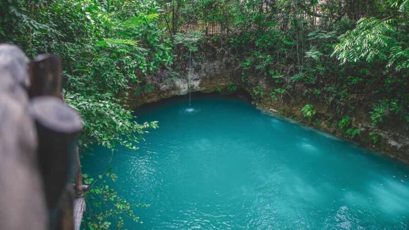 Puerto Morelos: Tour of two cenotes with lunch included. - Key Points