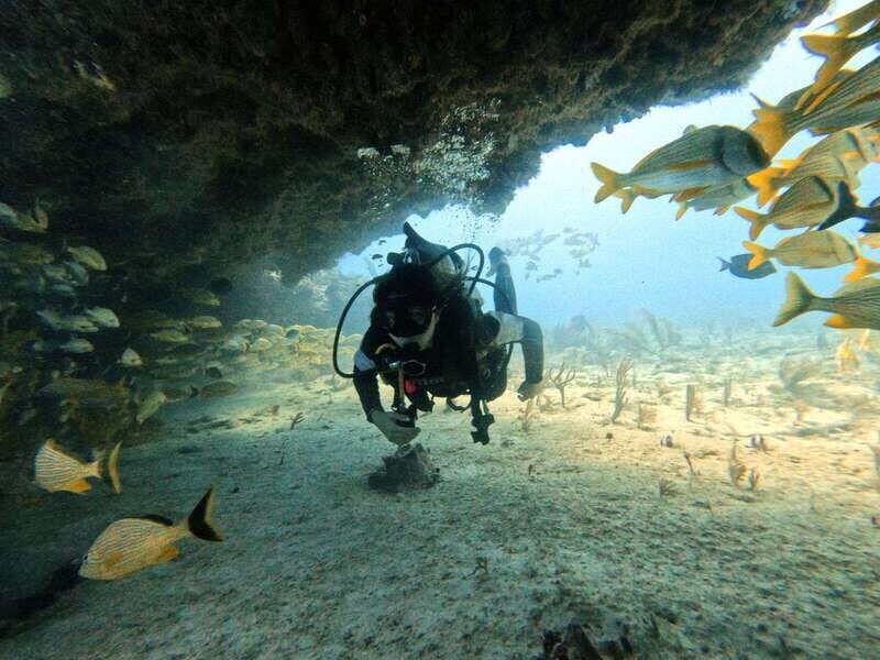 Puerto Morelos: Two Reef Dives for Certified Divers - Considerations and Practical Tips
