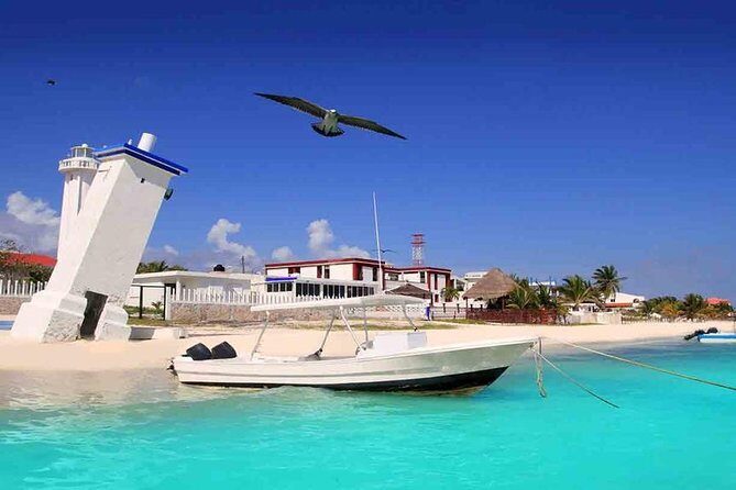 Puerto Morelos Two Reefs Snorkeling Tour - An Honest Look at the Puerto Morelos Snorkeling Tour