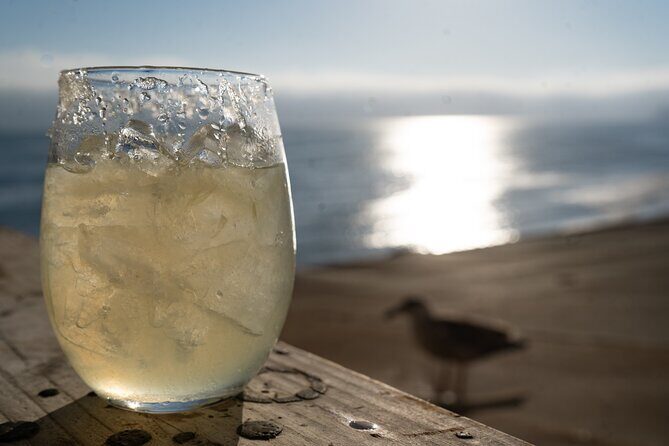 Puerto Nuevo Lobster and Tequila Tour - Who Should Consider This Tour?