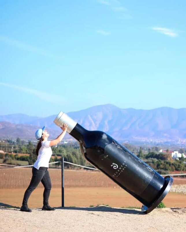 Puerto Nuevo & Valle de Guadalupe Tour with Lunch and Wine - Key Points