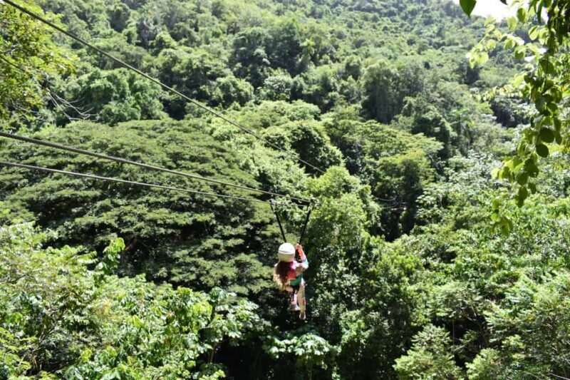 Puerto Plata/Amber Cove: Zipline and Waterfalls with Lunch - The Itinerary: What You’ll Experience