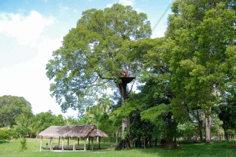 Puerto Plata: Buggy and Zipline Experience - FAQ