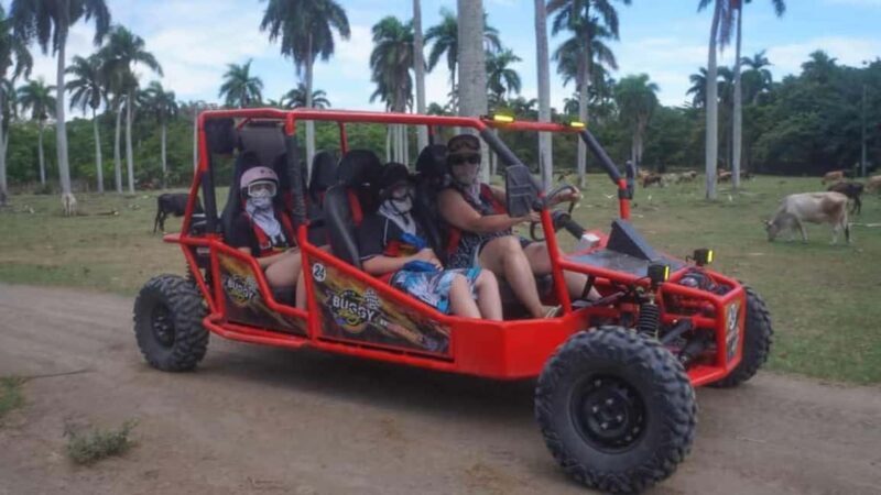 Puerto Plata: Buggy Tour with Cigar Factory & Beach Stop - An Authentic, Exciting Overview of Puerto Plata’s Buggy Tour