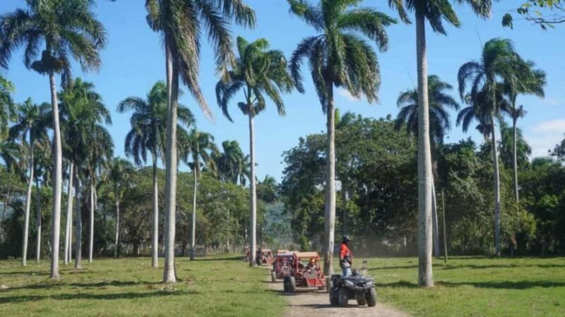 Puerto Plata: Buggy Tour with Cigar Factory & Beach Stop - FAQ