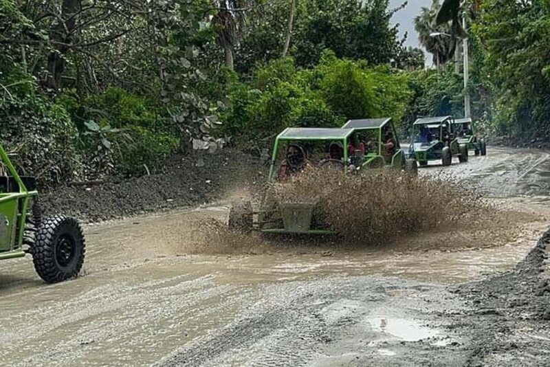 Puerto Plata: Buggy, Waterfalls, Zipline & Lunch Tour - Key Points