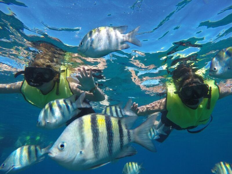 Puerto Plata: Catamaran Snorkeling Trip with Buffet - Who Will Love This Tour?