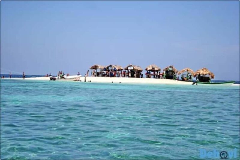 Puerto Plata: Cayo Arena Tour with Snorkeling and Mangroves - The Practical Side: Transportation, Timing, and Value