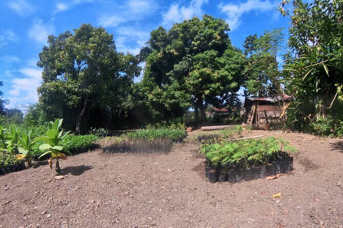 Puerto plata city tour and beach - Authentic Experiences and Authenticity