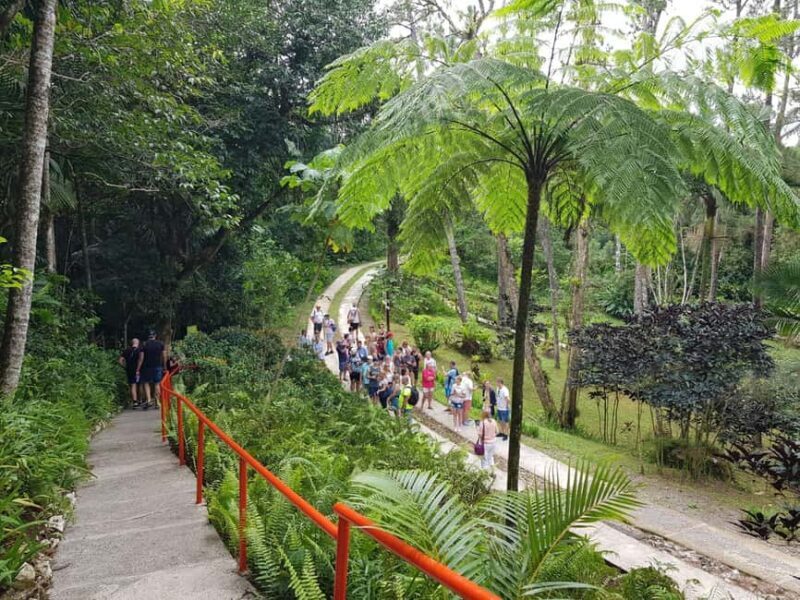 Puerto Plata: City Tour, Mountain and Lunch - Final Thoughts