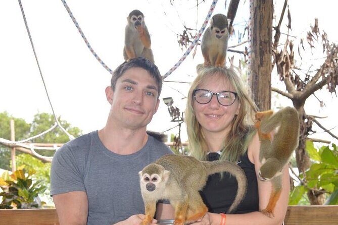 Puerto Plata City Tour with Monkeys - Introduction: What to Expect from the Puerto Plata City Tour with Monkeys