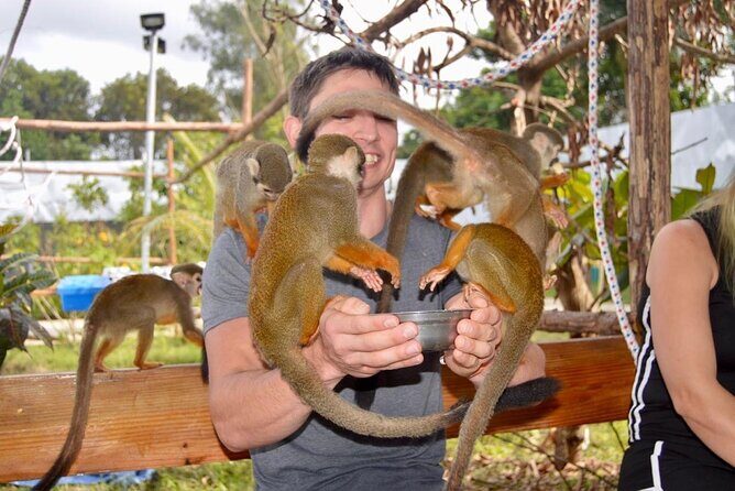 Puerto Plata City Tour with Monkeys - Group Size and Logistics