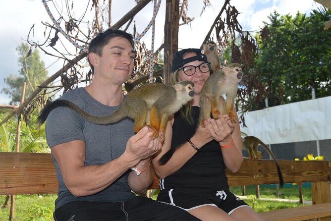 Puerto Plata City Tour with Monkeys - The Authenticity and Value