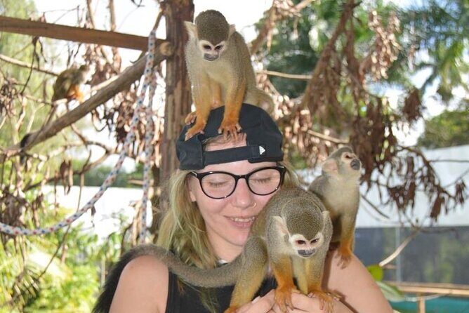 Puerto Plata City Tour with Monkeys - FAQs