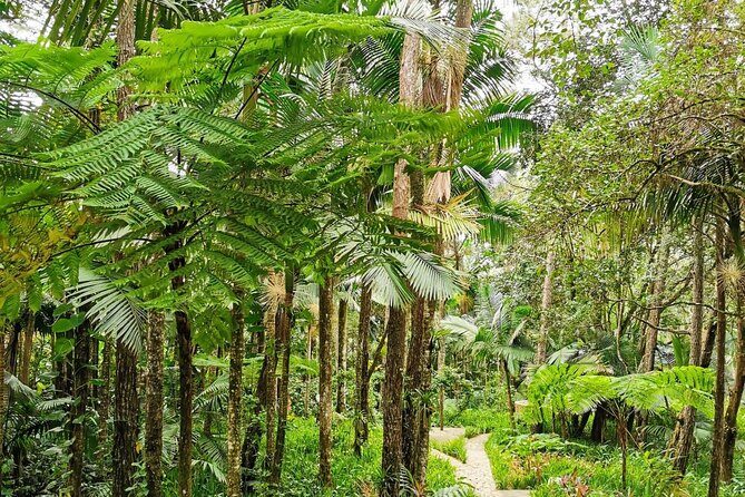 Puerto Plata City Tour with the Mount Isabel, Rum & Chocolate - A Deep Dive into the Puerto Plata Experience