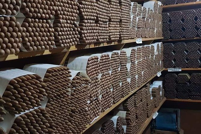 Puerto Plata City Tours from amber cove and Taino bay - Getting to Know the Tour: An In-Depth Breakdown