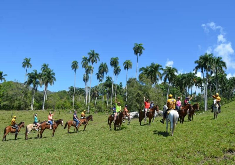 Puerto Plata Combo Experience: Zip-line + Horseback Riding - A Complete Look at the Puerto Plata Combo Experience