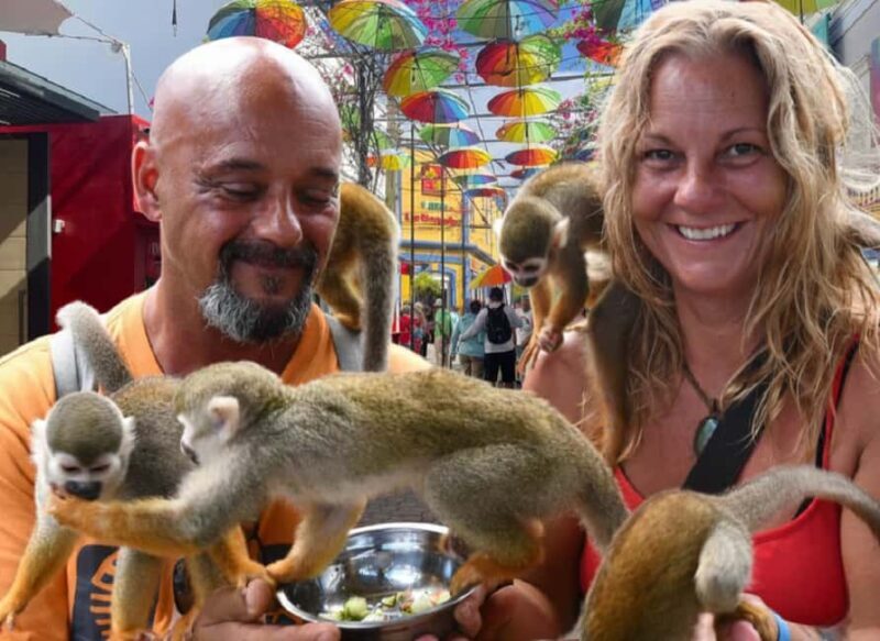 Puerto Plata: Cultural Tour & Ethical Monkey Observation - A Well-Rounded Peek into Dominican Rural Life
