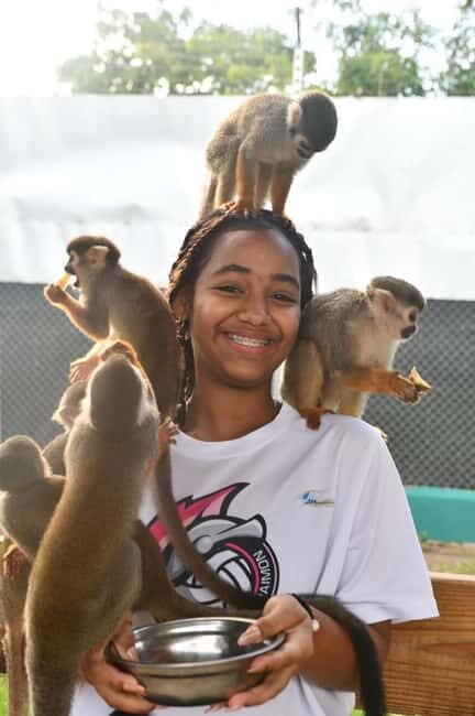 Puerto Plata: Cultural Tour & Ethical Monkey Observation - The Sum Up